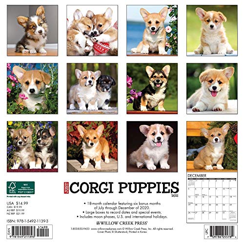 Just Corgi Puppies 2021 Wall Calendar (Dog Breed Calendar)