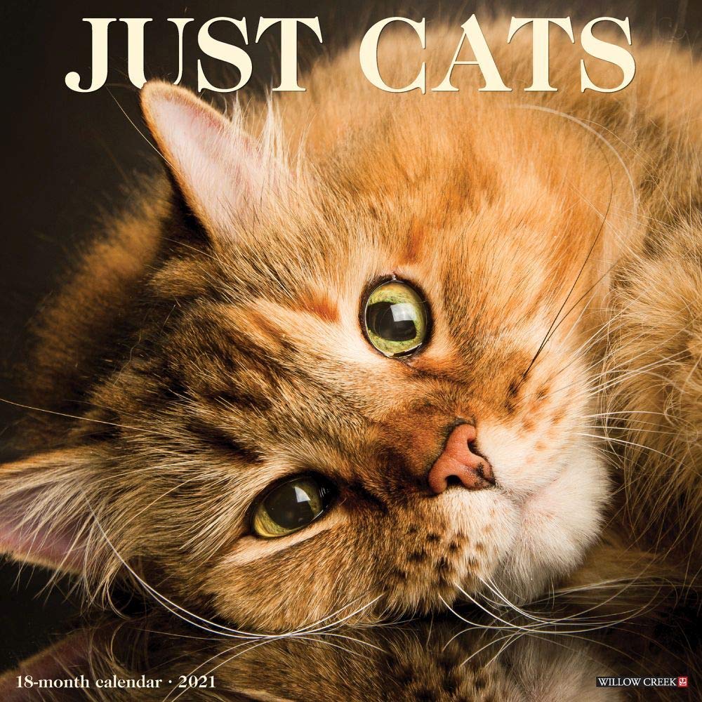 Just Cats 2021 Wall Calendar