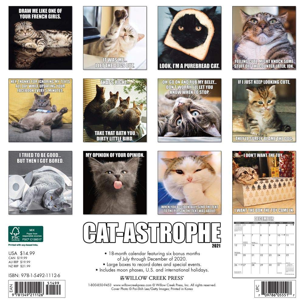Cat-Astrophe 2021 Wall Calendar