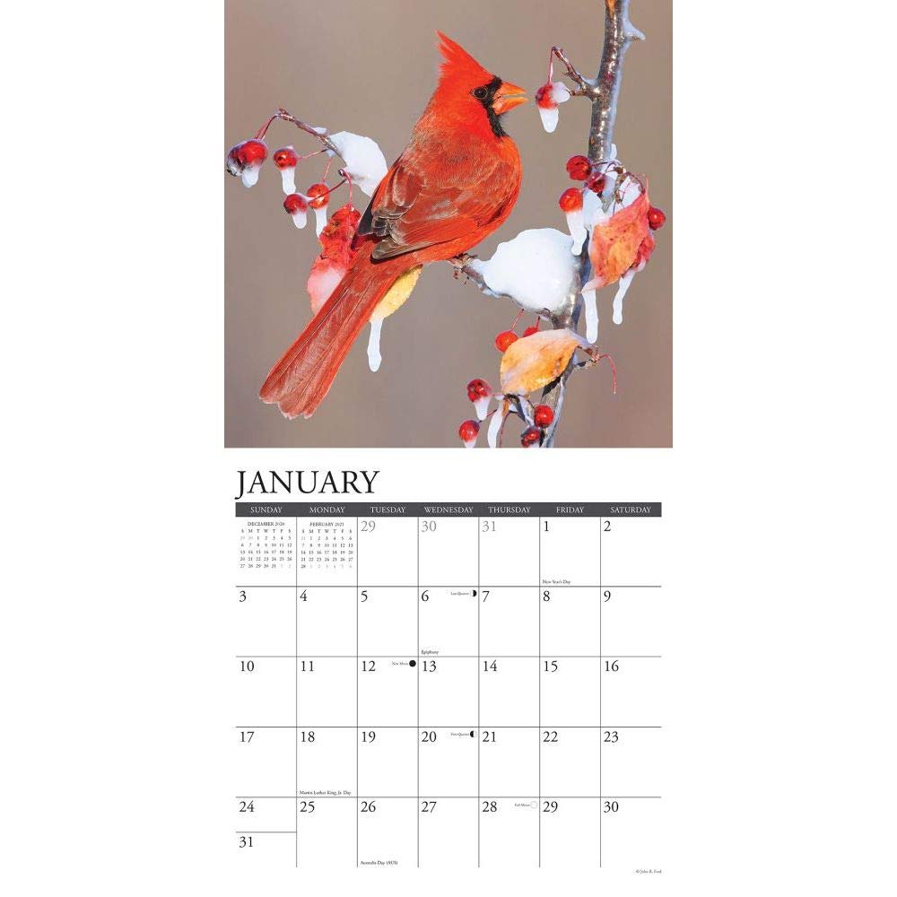 Cardinals 2021 Wall Calendar