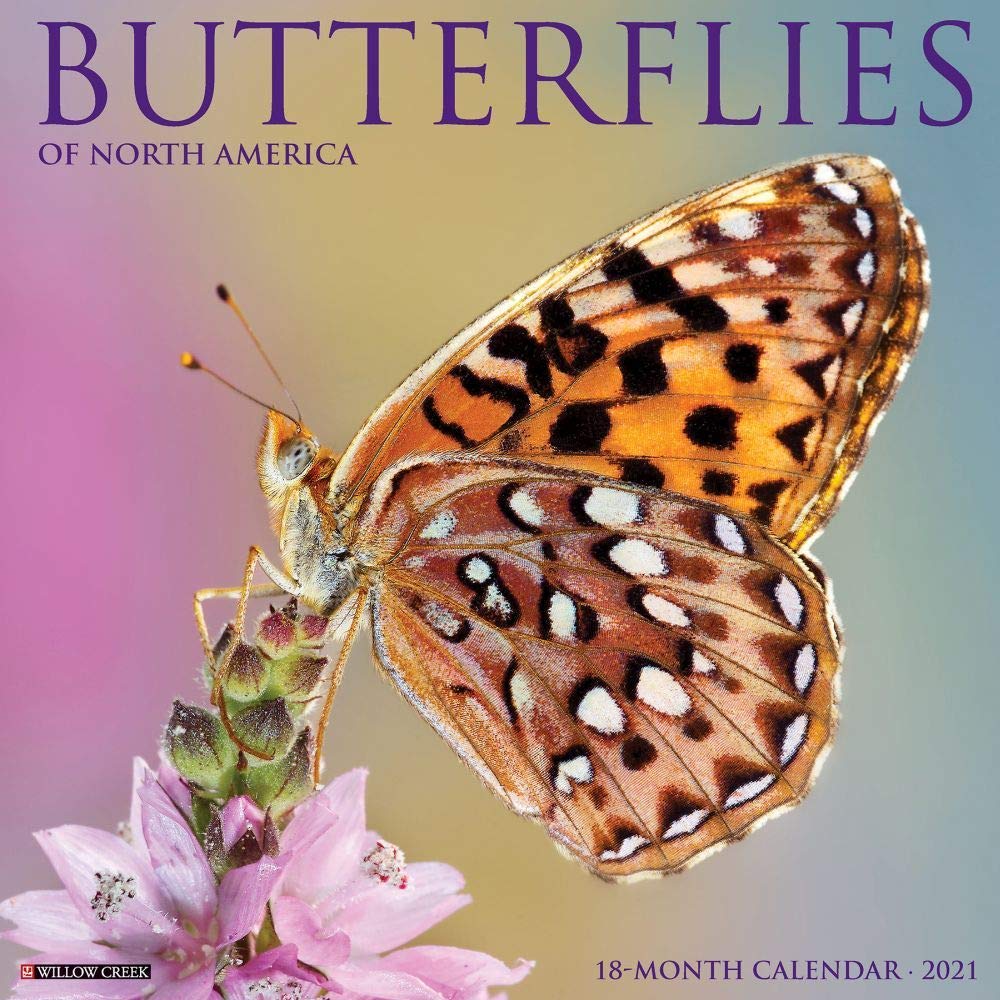 Butterflies 2021 Wall Calendar