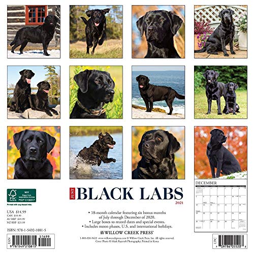 Just Black Labs 2021 Wall Calendar (Dog Breed Calendar)