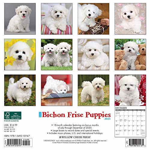 Just Bichon Frise Puppies 2021 Wall Calendar (Dog Breed Calendar)