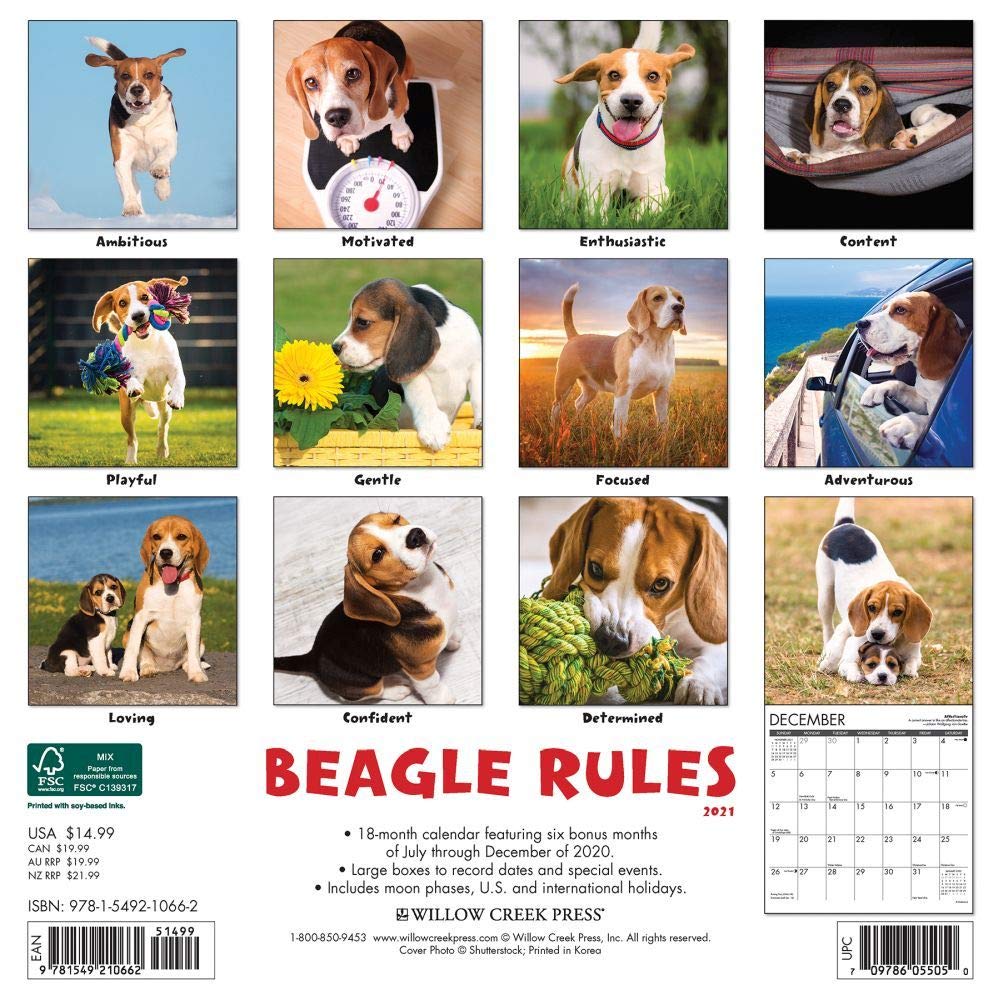 Beagle Rules 2021 Wall Calendar (Dog Breed Calendar)