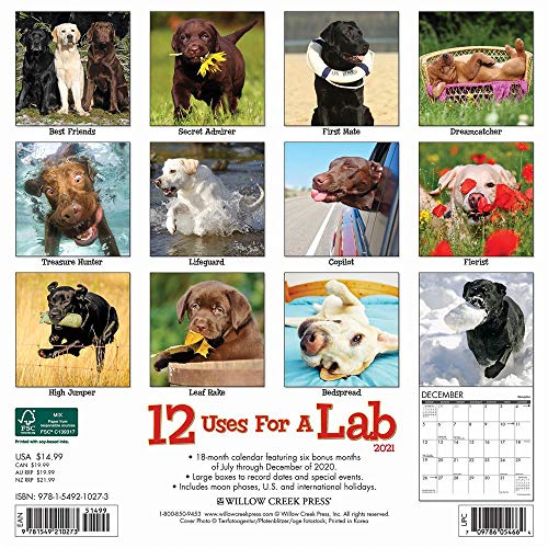 12 Uses for a Lab 2021 Wall Calendar (Dog Breed Calendar)