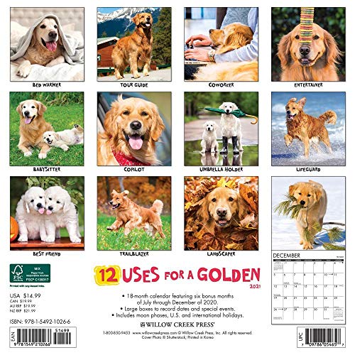 12 Uses for a Golden 2021 Wall Calendar (Dog Breed Calendar)