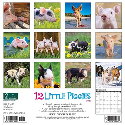 12 Little Piggies 2021 Wall Calendar