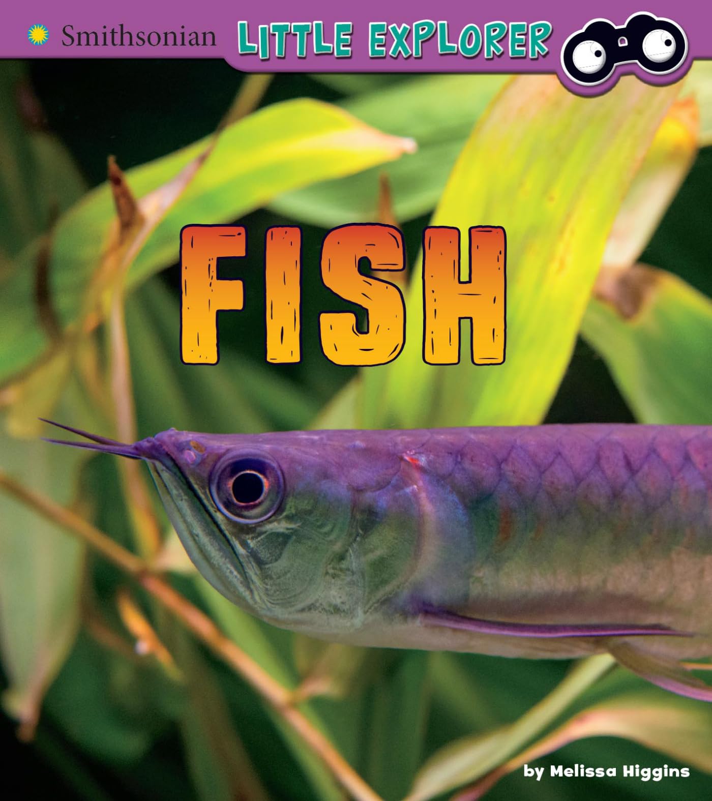 Fish: A 4D Book (Little Zoologist) (Smithsonian Little Explorer)