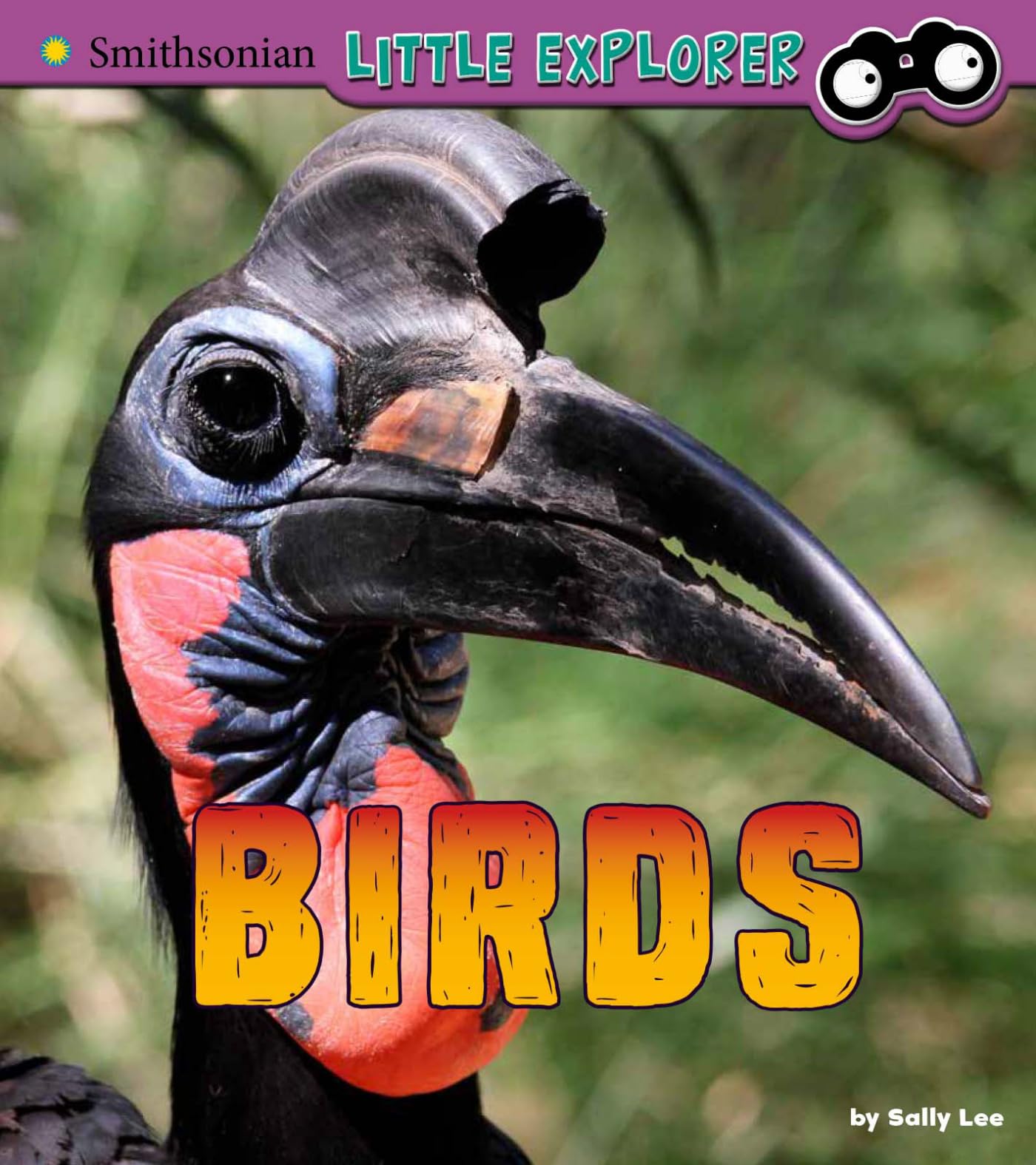 Birds: A 4D Book (Little Zoologist) (Smithsonian Little Explorer)
