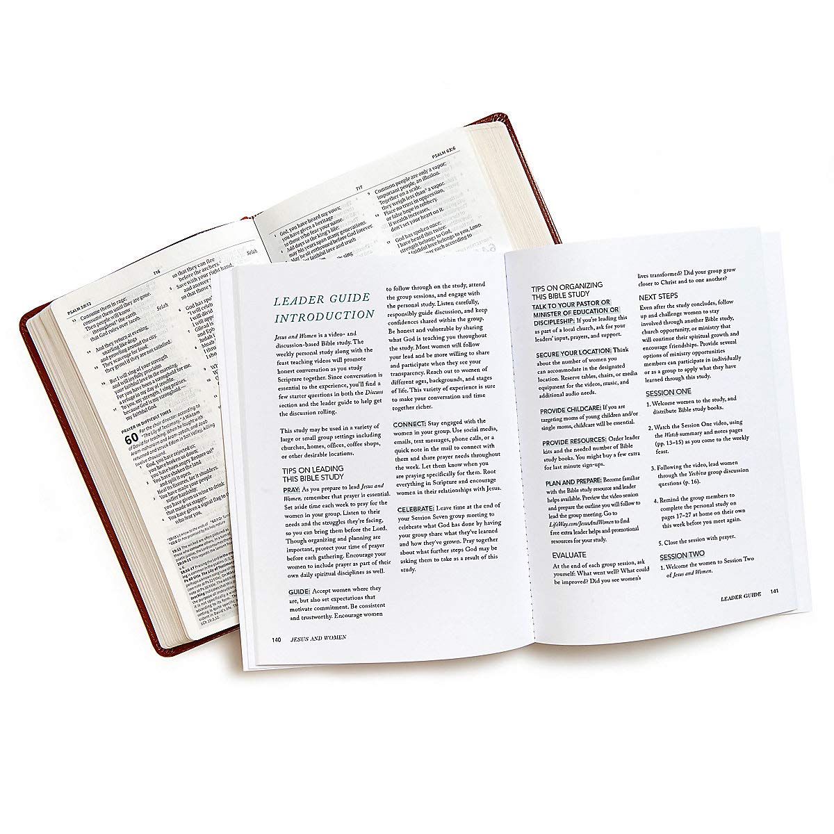 Jesus and Women - Bible Study Book: In the First Century and Now