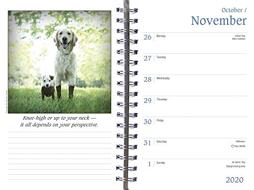 2021 Dogma: A Dogs Guide to Life 16-Month Weekly Planner