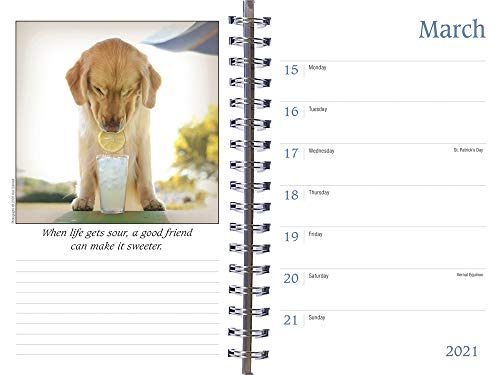 2021 Dogma: A Dogs Guide to Life 16-Month Weekly Planner