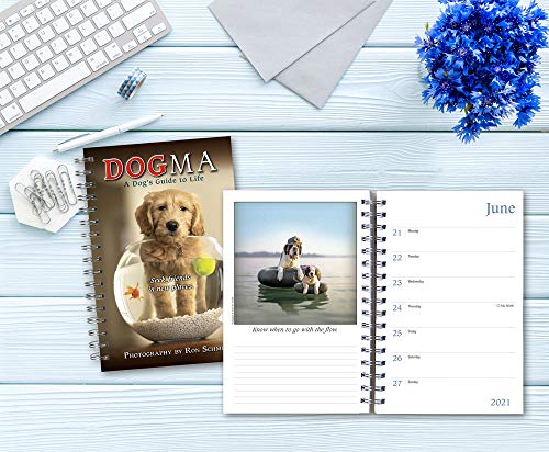 2021 Dogma: A Dogs Guide to Life 16-Month Weekly Planner