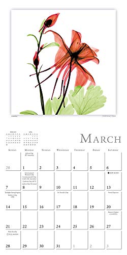 2021 Flower Spirits Radiographs of Nature by Steven N. Meyers Mini Calendar