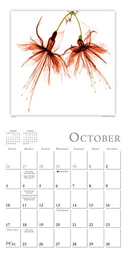 2021 Flower Spirits Radiographs of Nature by Steven N. Meyers Mini Calendar