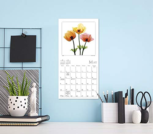 2021 Flower Spirits Radiographs of Nature by Steven N. Meyers Mini Calendar