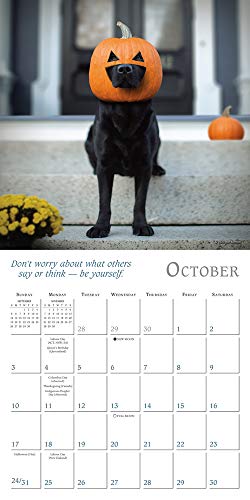 2021 Dogma: A Dogs Guide to Life Mini Calendar