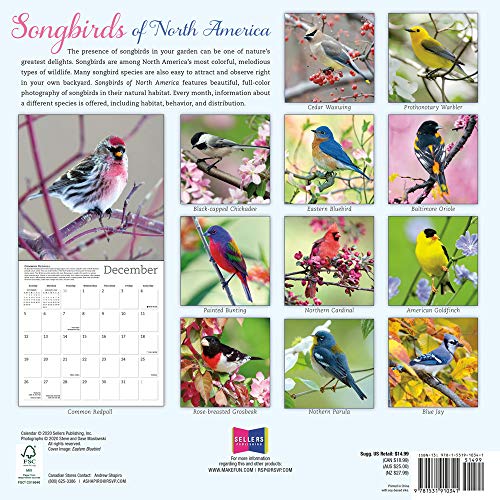 2021 Songbirds of North America 16-Month Wall Calendar