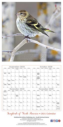 2021 Songbirds of North America 16-Month Wall Calendar