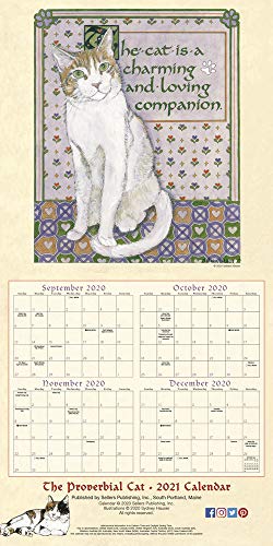 2021 The Proverbial Cat Feline Inspirations 16-Month Wall Calendar