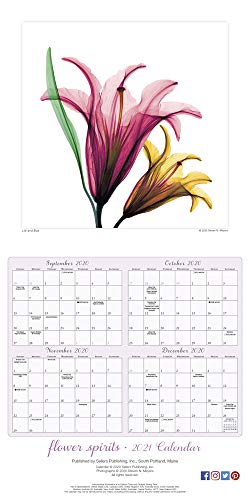 2021 Flower Spirits Radiographs of Nature by Steven N. Meyers 16-Month Wall Calendar