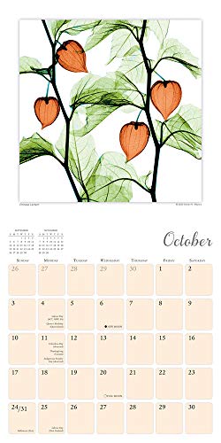 2021 Flower Spirits Radiographs of Nature by Steven N. Meyers 16-Month Wall Calendar