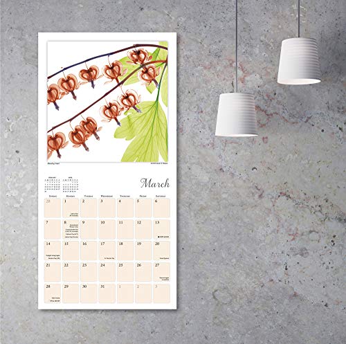 2021 Flower Spirits Radiographs of Nature by Steven N. Meyers 16-Month Wall Calendar