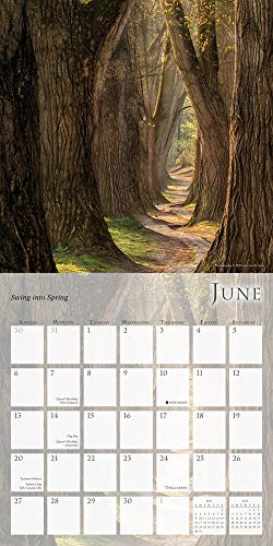 2021 Enchanted Pathways: Photography by Lars van de Goor 16-Month Wall Calendar