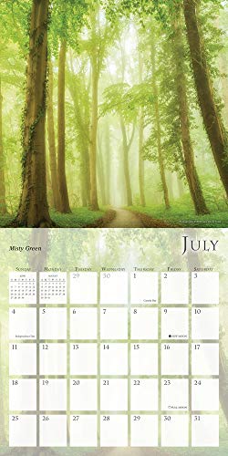 2021 Enchanted Pathways: Photography by Lars van de Goor 16-Month Wall Calendar