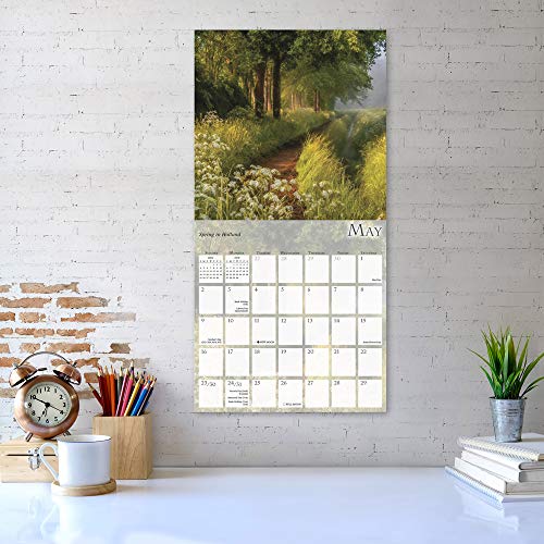 2021 Enchanted Pathways: Photography by Lars van de Goor 16-Month Wall Calendar