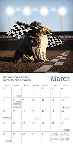 2021 Dogma: A Dogs Guide to Life 16-Month Wall Calendar