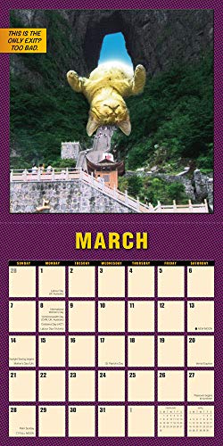 2021 Catzilla 16-Month Wall Calendar