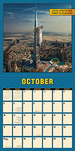 2021 Catzilla 16-Month Wall Calendar
