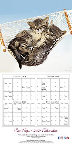 2021 Cat Naps 16-Month Wall Calendar