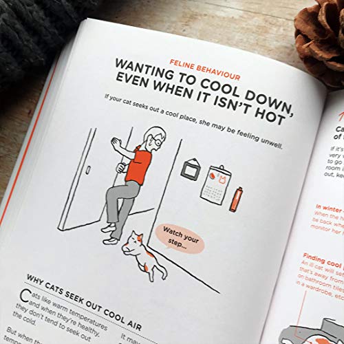 What Cats Want: An illustrated guide for truly understanding your cat