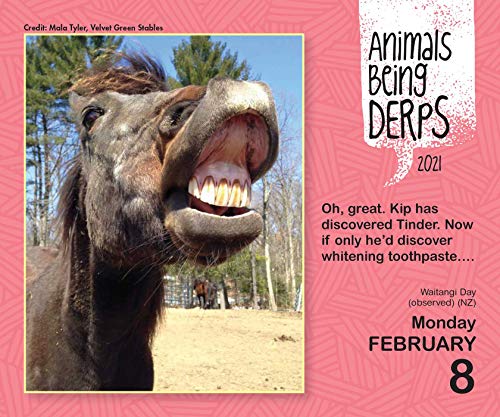 Animals Being Derps 2021 Day-to-Day Calendar: The Internet's Funniest Animals at Their Goofiest