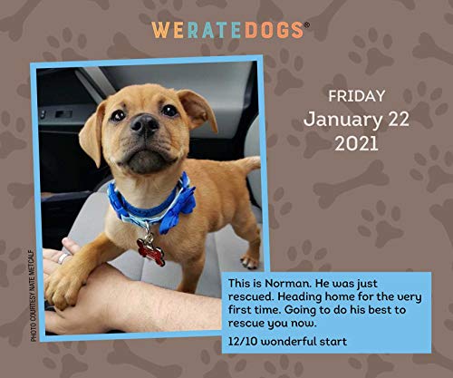 WeRateDogs 2021 Day-to-Day Calendar