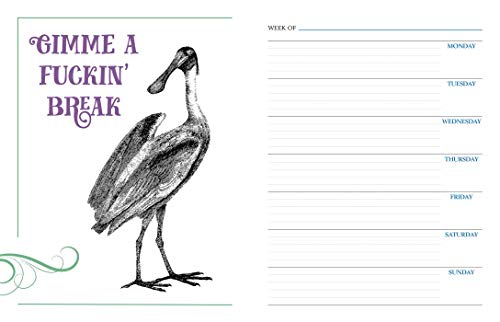 Effin' Birds Undated Monthly/Weekly Planner Calendar: A Field Guide to Identification