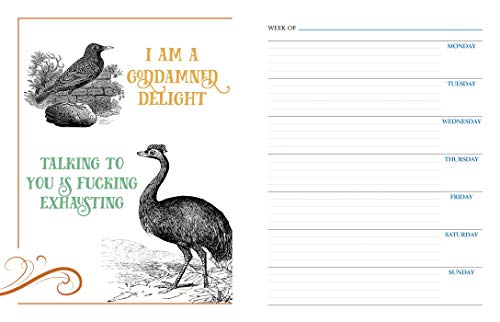Effin' Birds Undated Monthly/Weekly Planner Calendar: A Field Guide to Identification