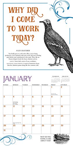 Effin' Birds 2021 Wall Calendar: A Field Guide to Identification