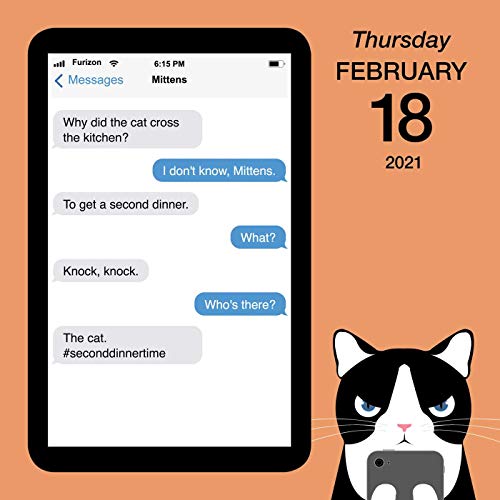Texts from Mittens 2021 Day-to-Day Calendar