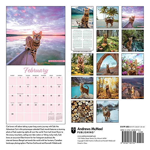 Suki the Adventure Cat 2021 Wall Calendar
