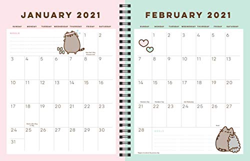Pusheen 16-Month 2020-2021 Weekly/Monthly Planner Calendar