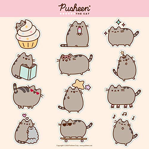 Pusheen 2021 Wall Calendar