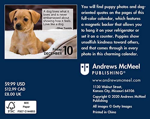 Puppies 2021 Mini Day-to-Day Calendar