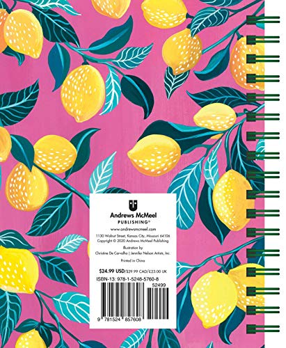 Posh: Deluxe Organizer 17-Month 2020-2021 Monthly/Weekly Planner Calendar: Lemondrops