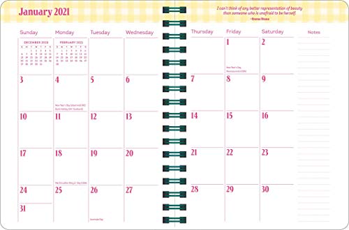 Posh: Deluxe Organizer 17-Month 2020-2021 Monthly/Weekly Planner Calendar: Lemondrops