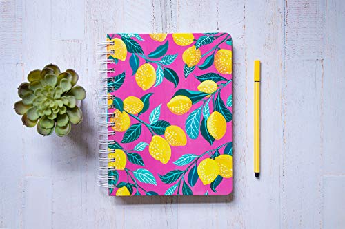 Posh: Deluxe Organizer 17-Month 2020-2021 Monthly/Weekly Planner Calendar: Lemondrops