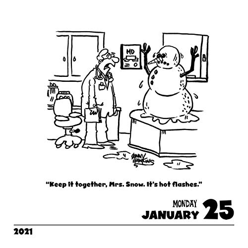 Medical Cartoon-A-Day 2021 Calendar: A Daily Dose of Humor