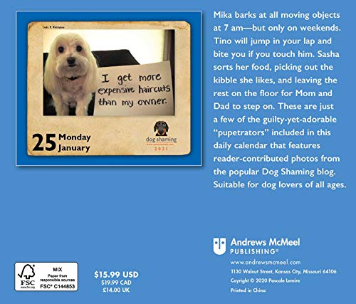 Dog Shaming 2021 Day-to-Day Calendar